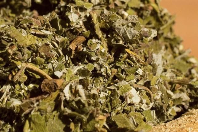 Organic Raspberry Leaves 50g - The Healing Cauldron