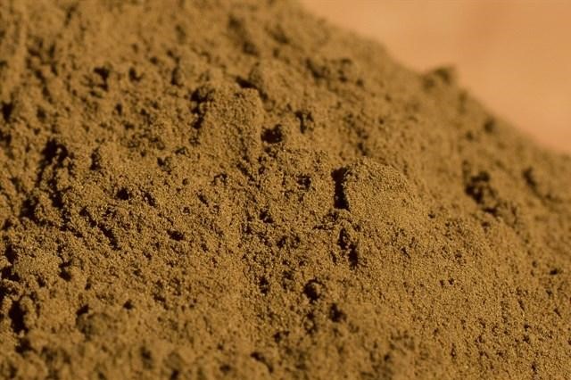 Organic Rhubarb Root 50g - The Healing Cauldron